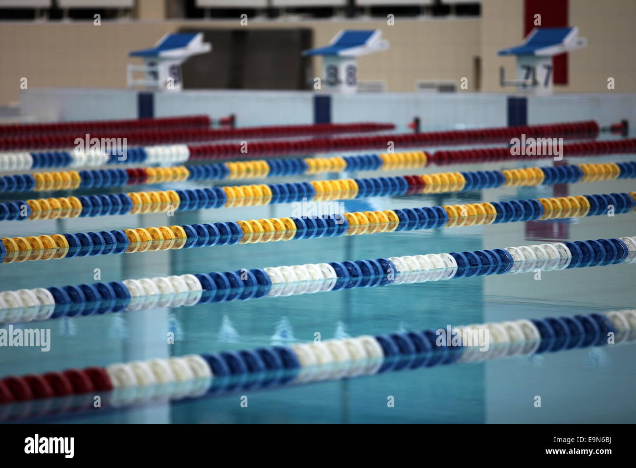 Competitive swimming pool hi-res stock photography and images - Alamy