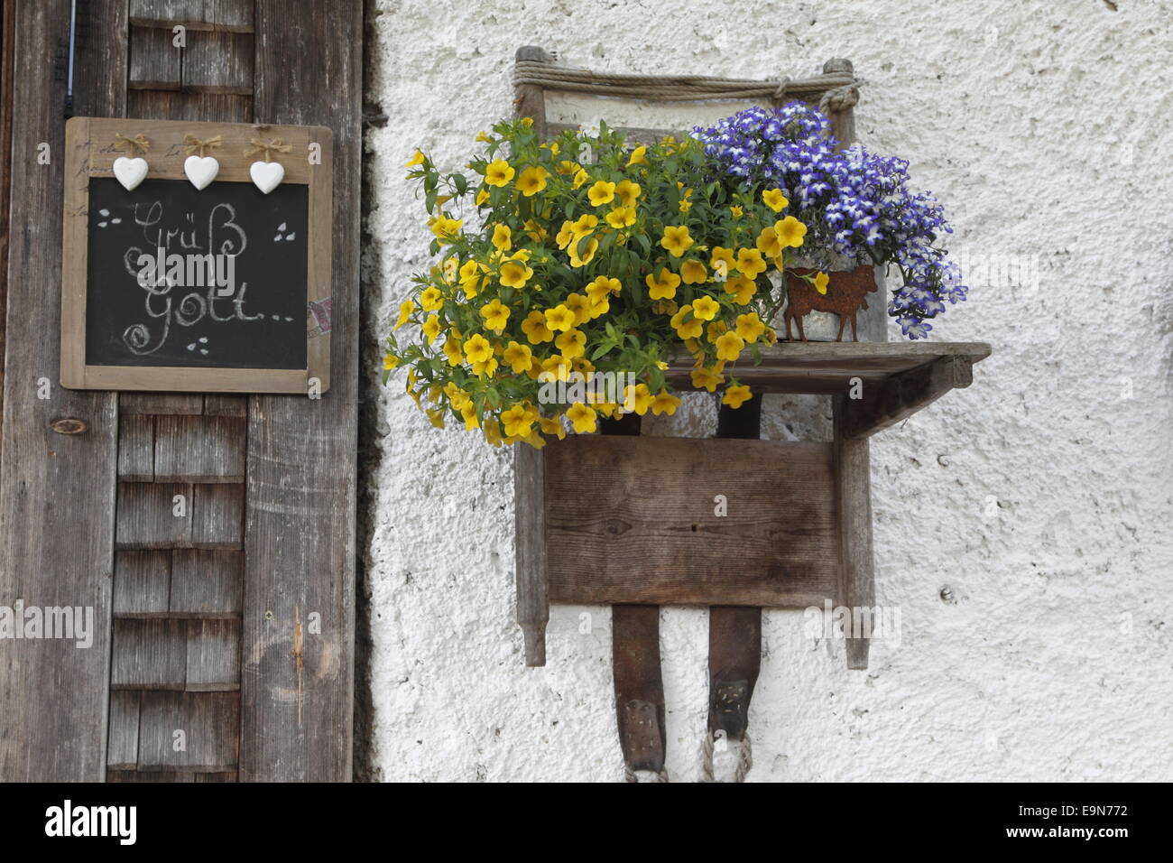 Welcome flower hi-res stock photography and images - Alamy