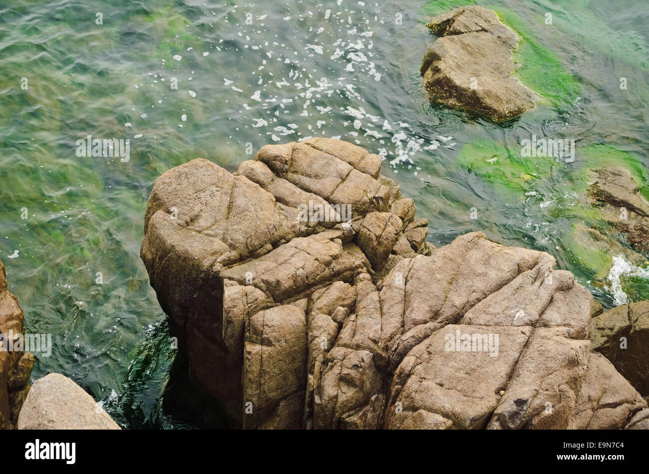 Rocks ecosystem hi-res stock photography and images - Alamy