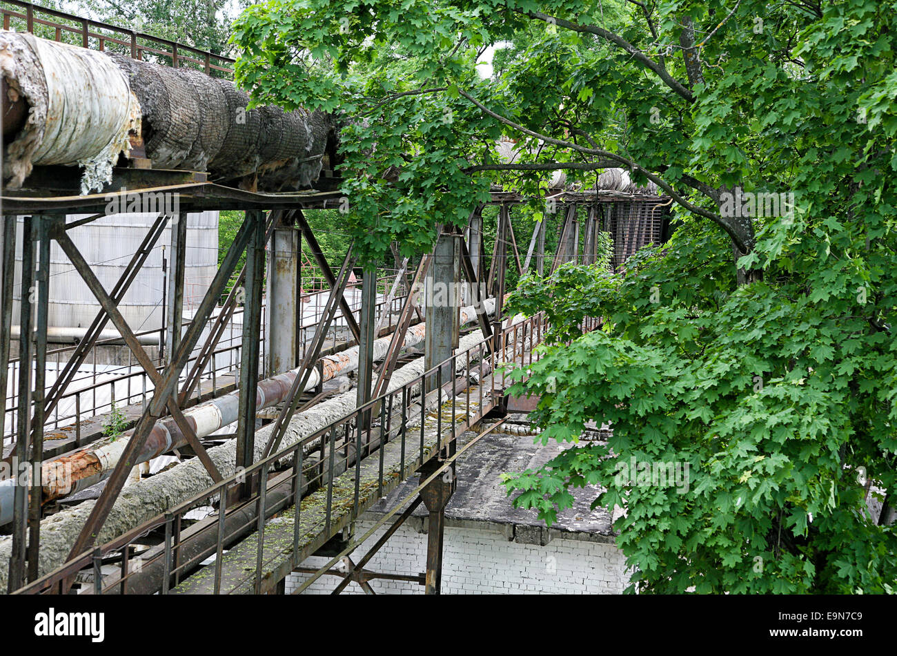 Old pipes of a heating plant among trees Stock Photo - Alamy