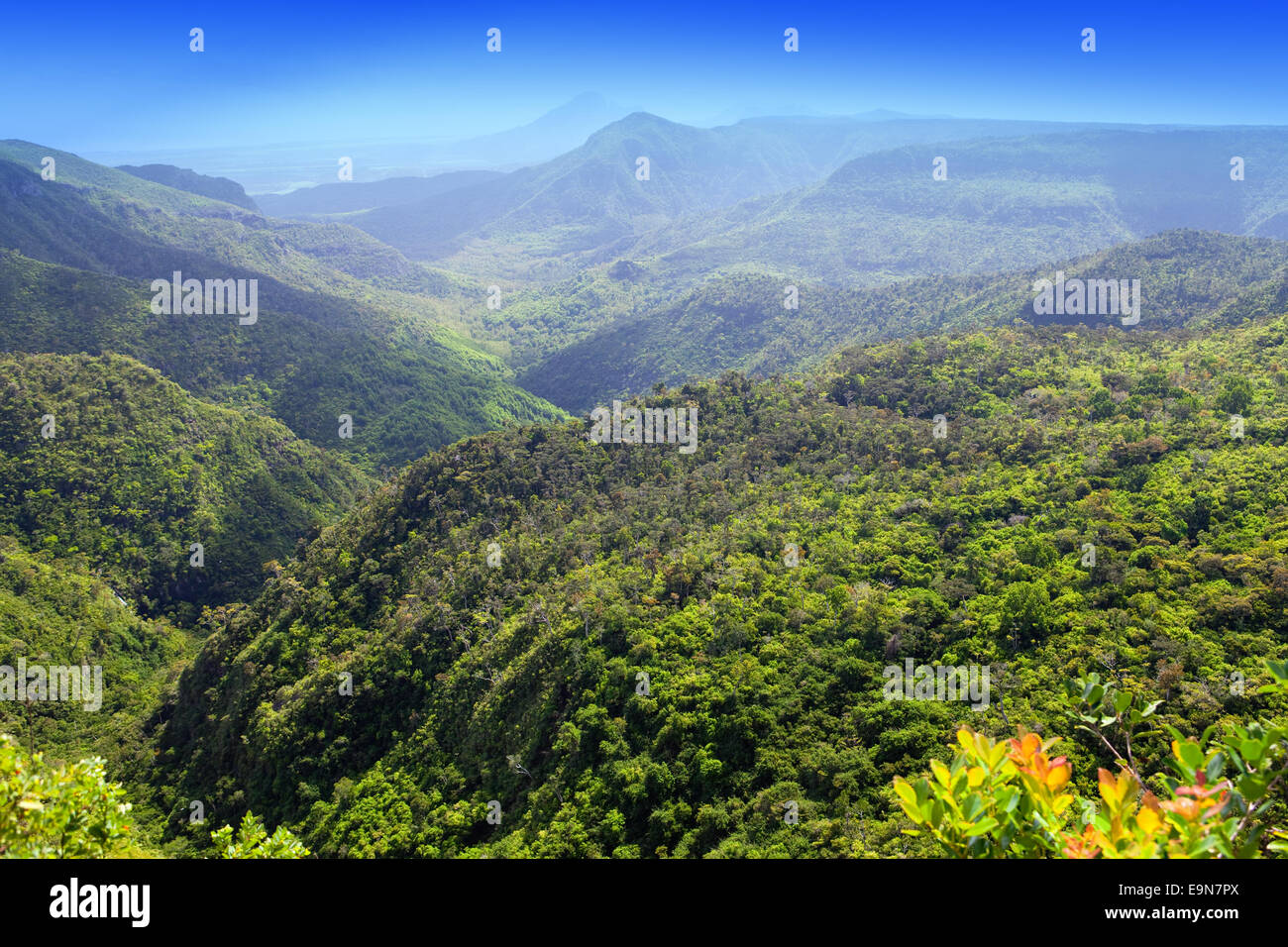 Mauritius island country hi-res stock photography and images - Alamy