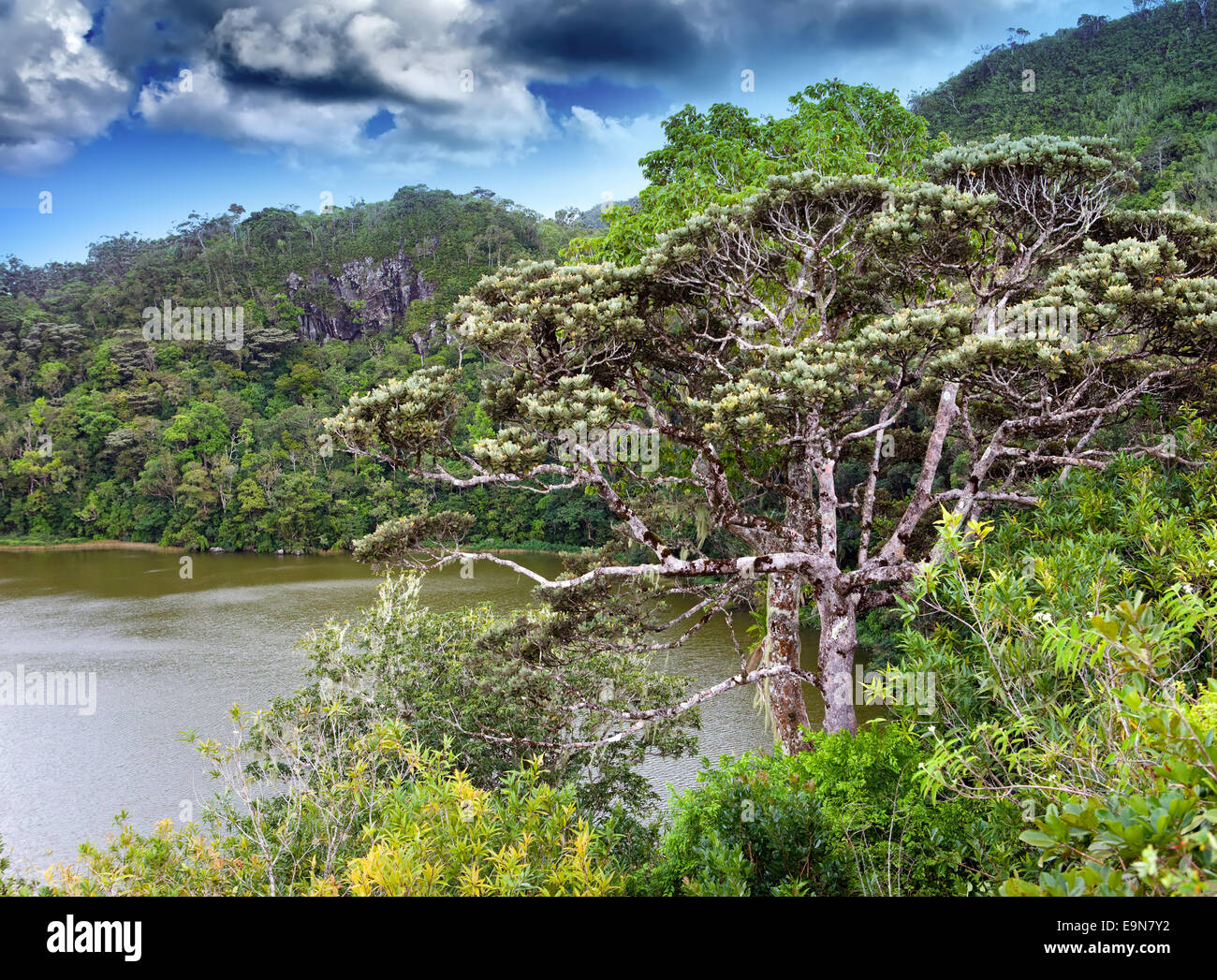 Nature of Mauritius. Lake and tropical trees Stock Photo - Alamy
