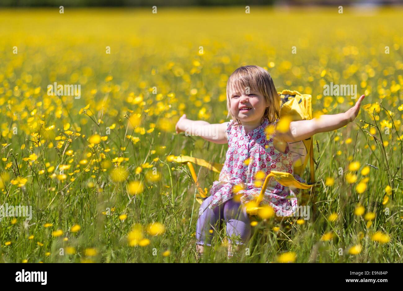 Blythe doll hi-res stock photography and images - Alamy