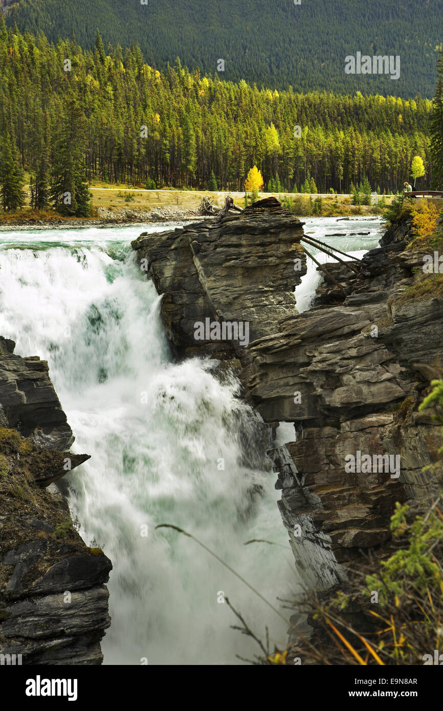 Beautiful lake fur trees hi-res stock photography and images - Alamy