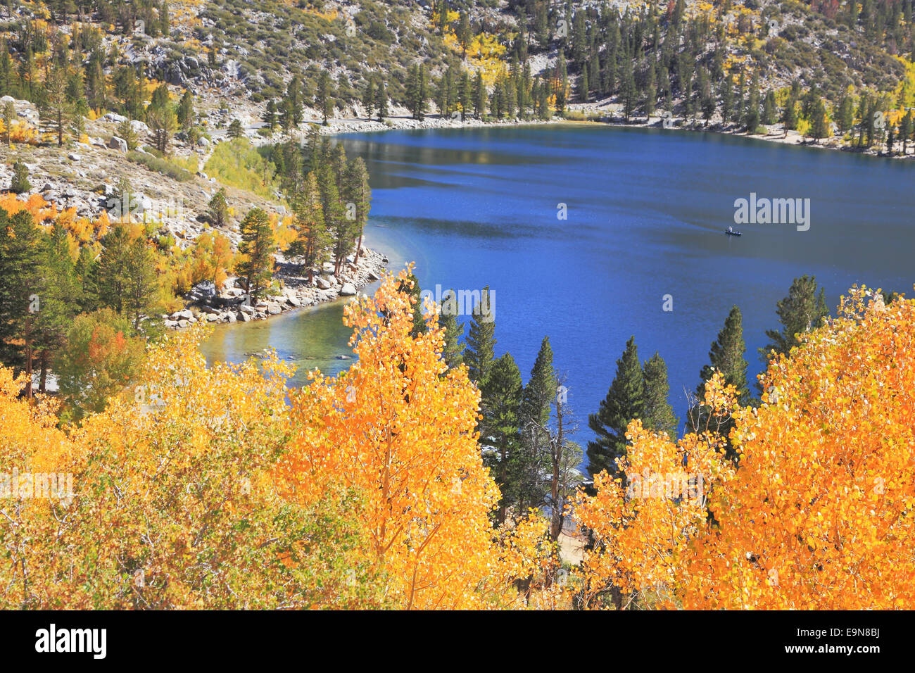 Gold crowns create an unforgettable picture Stock Photo - Alamy