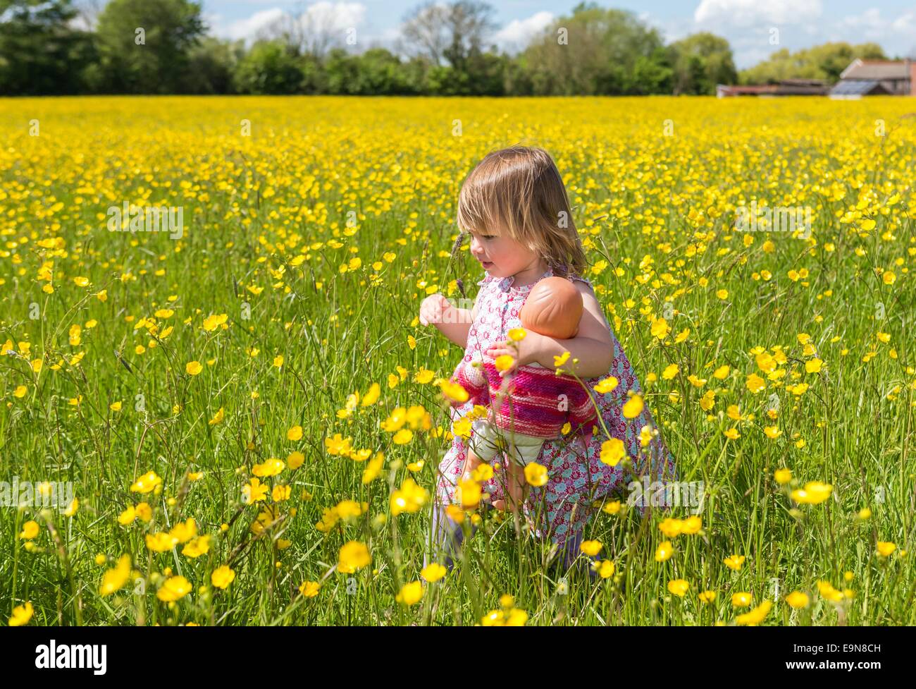 Blythe doll hi-res stock photography and images - Alamy