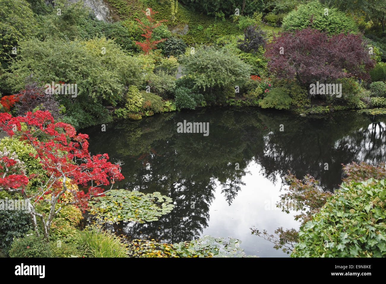 Small autumn garden pond hi-res stock photography and images - Alamy