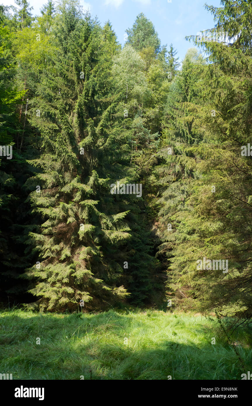 Hiking in Saxon Stock Photo - Alamy