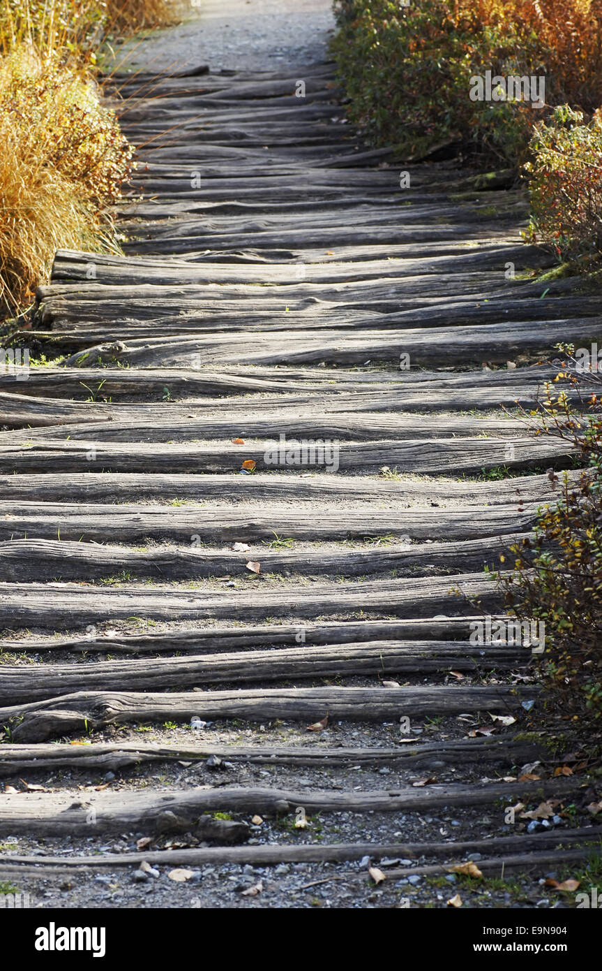 Timber pathway hi-res stock photography and images - Alamy