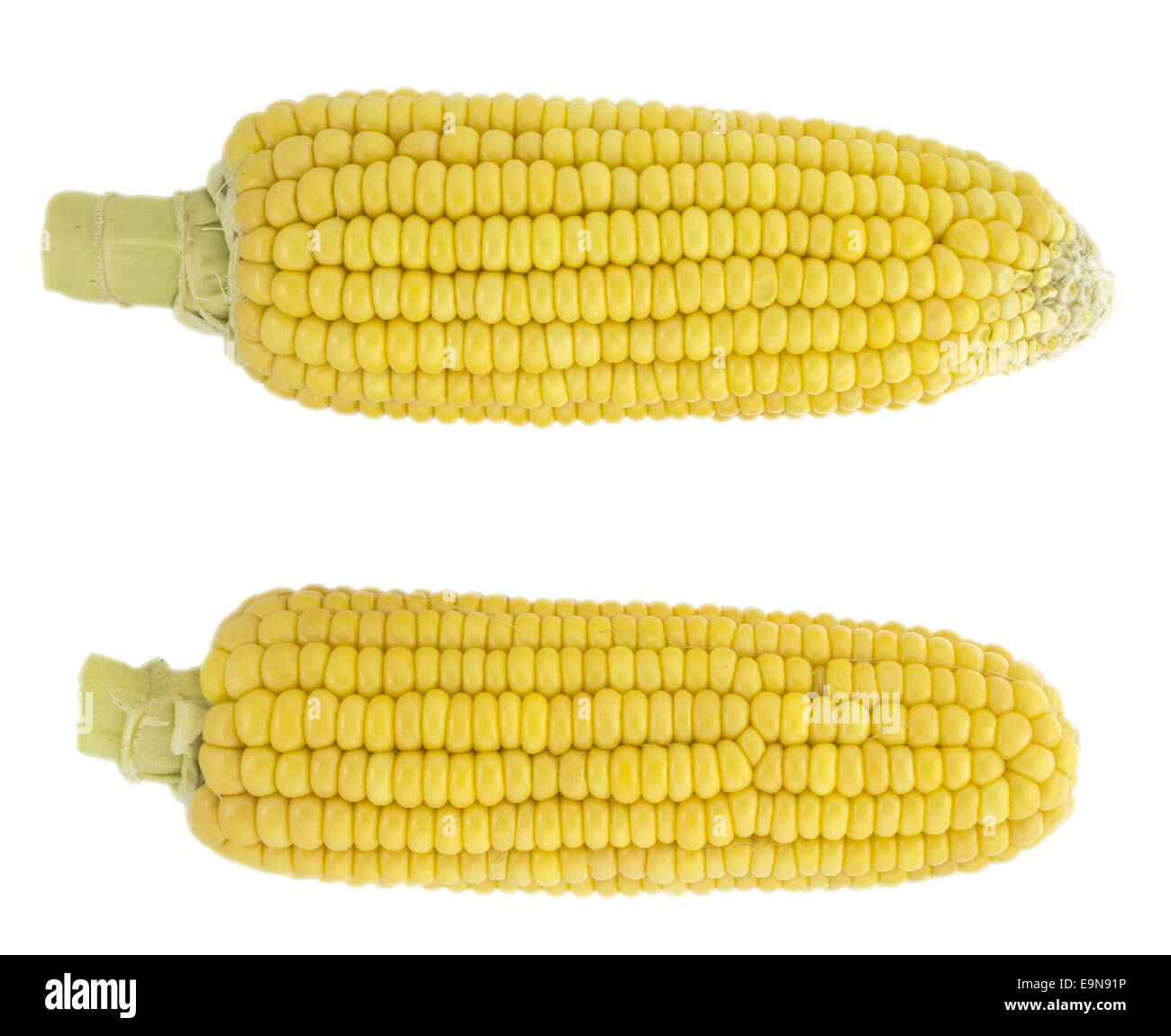 Growing Sweet Corn Cut Out Stock Images & Pictures - Alamy