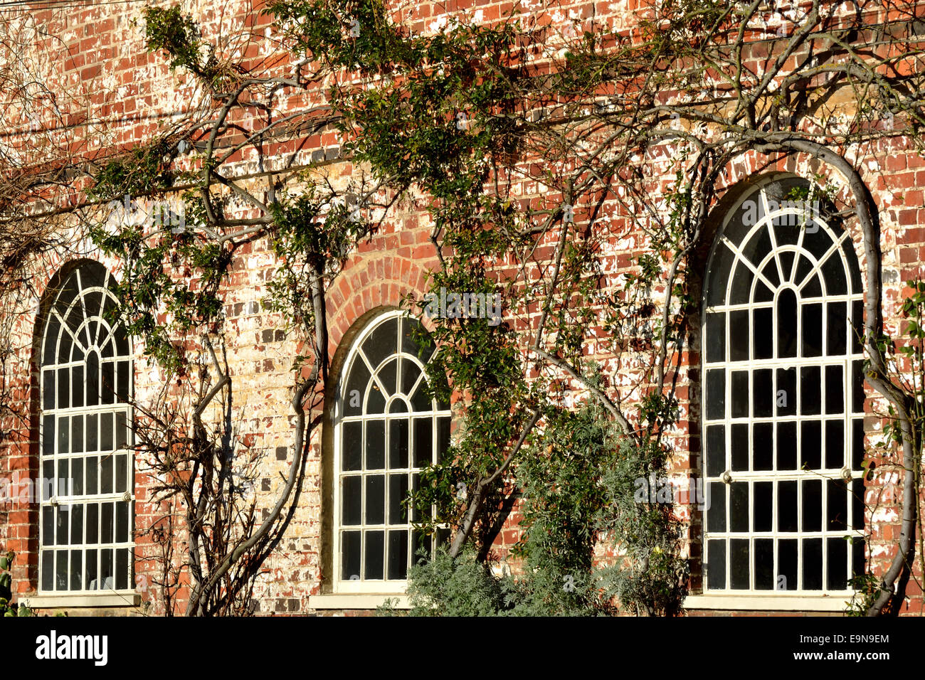 arched white windows Stock Photo - Alamy