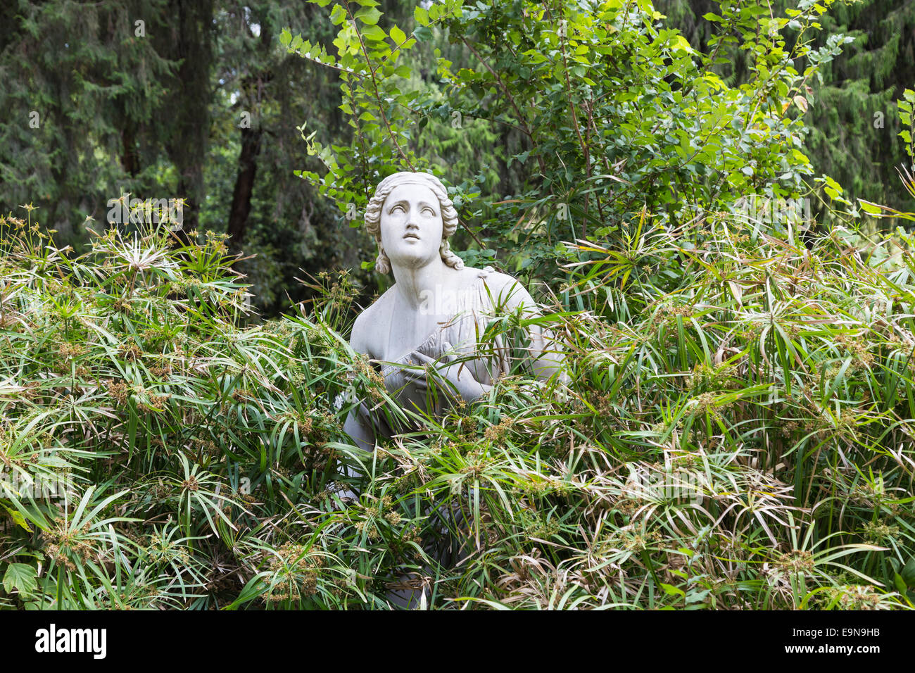 Pincio bust hi-res stock photography and images - Alamy