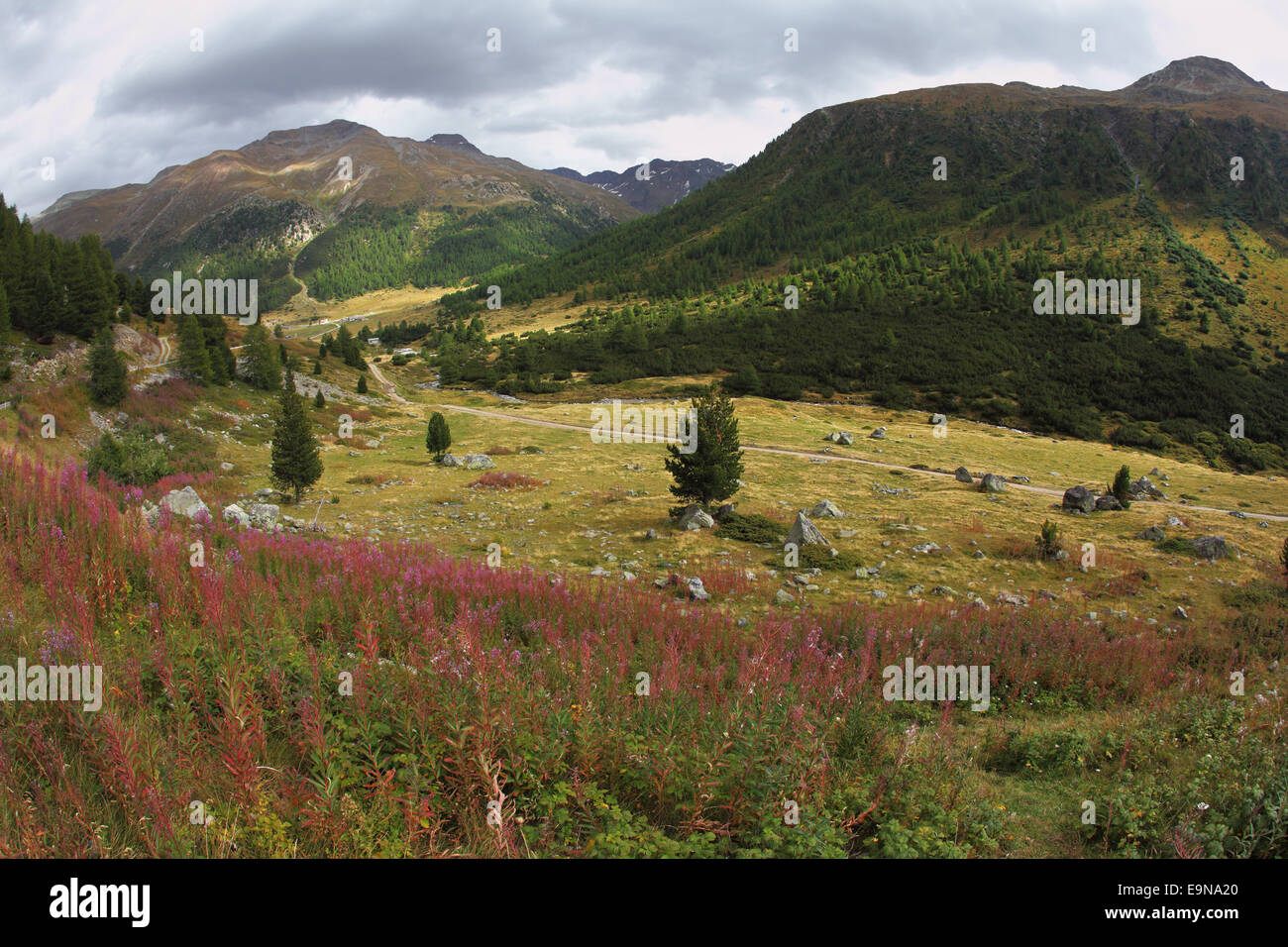 Adventure in italy hi-res stock photography and images - Alamy