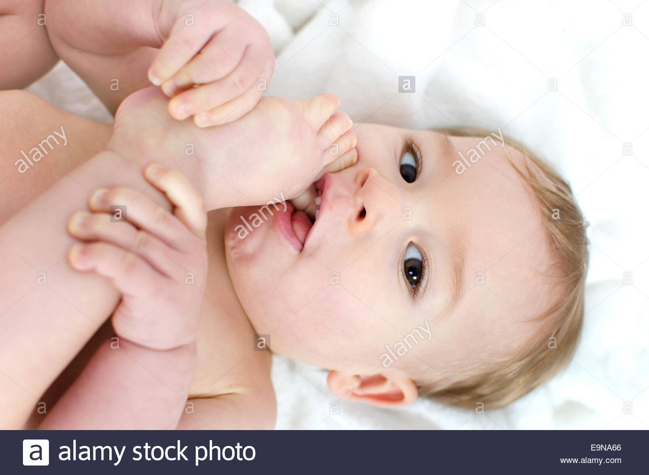 Suck Her Toes Stock Photos & Suck Her Toes Stock Images - Alamy