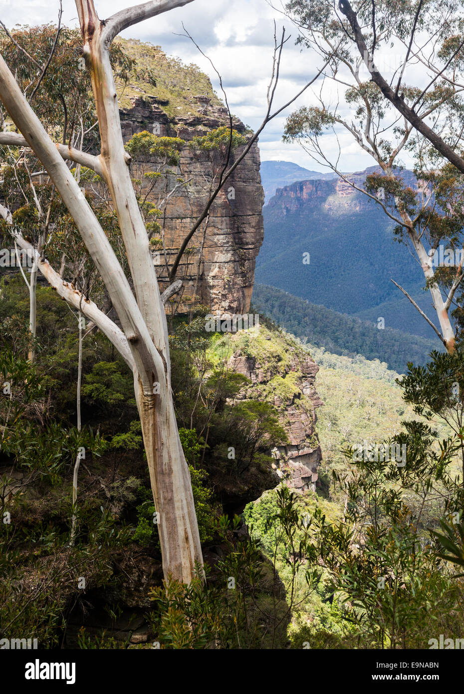 Grose valley landscape hi-res stock photography and images - Alamy