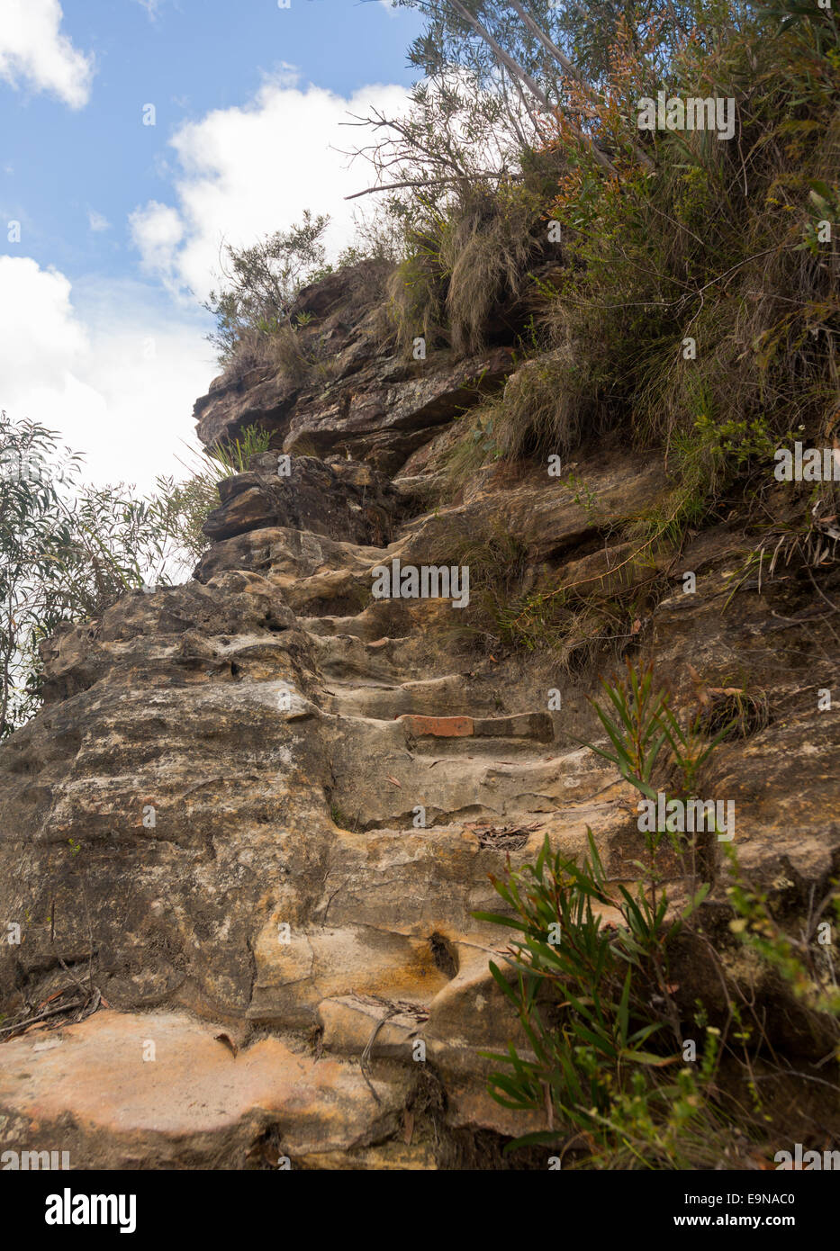 Hike blue mountains australia hi-res stock photography and images - Alamy