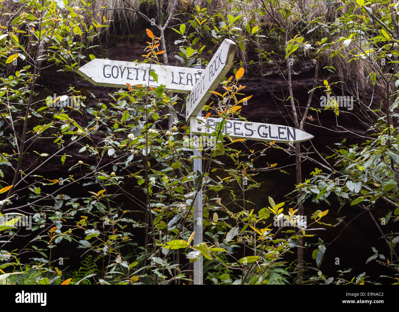 Grose valley hi-res stock photography and images - Alamy