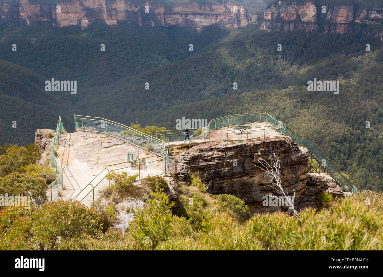 Grose Valley in Blue Mountains Australia Stock Photo - Alamy