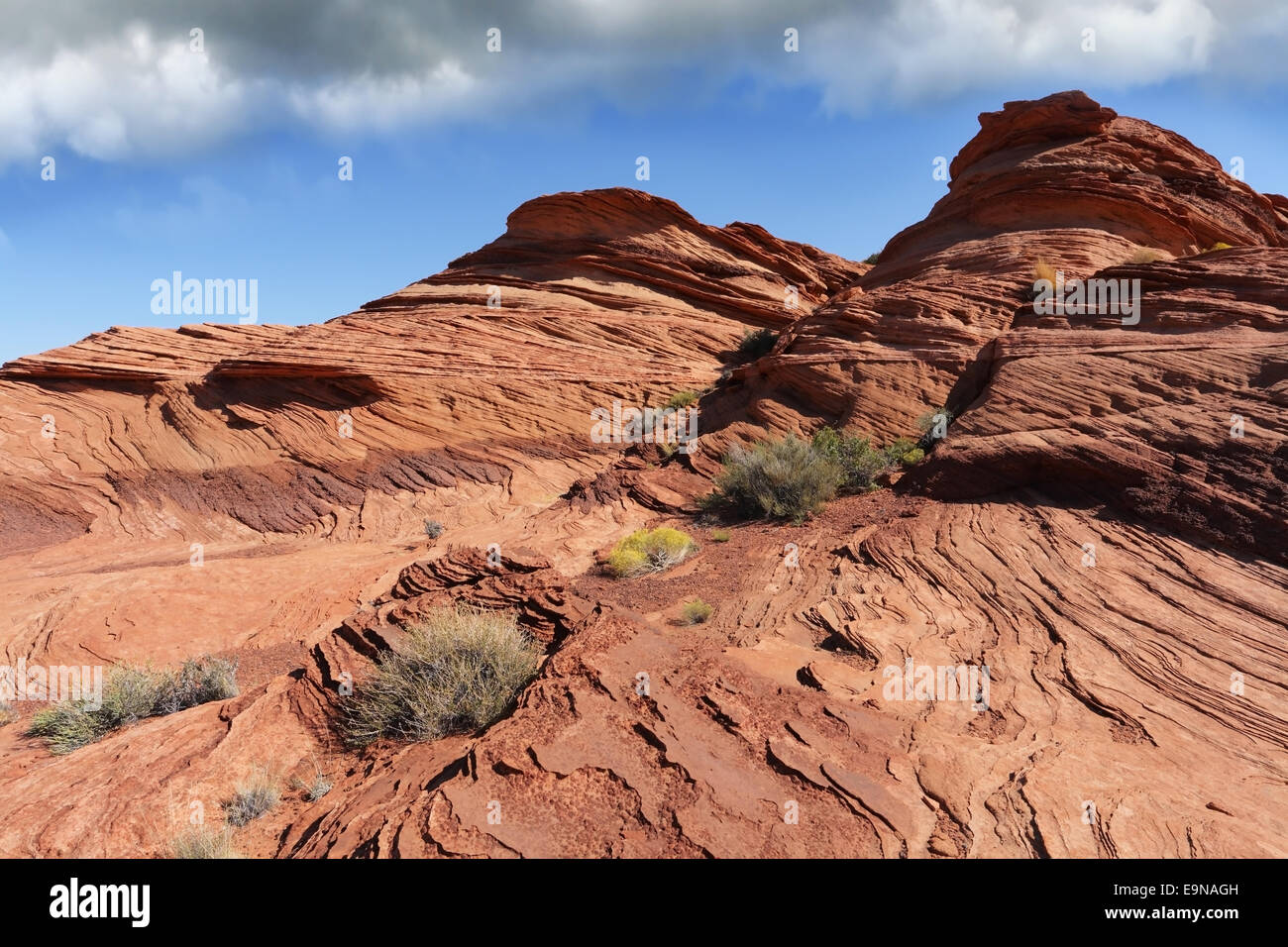 Colorful cliffs of red sandstone Stock Photo - Alamy