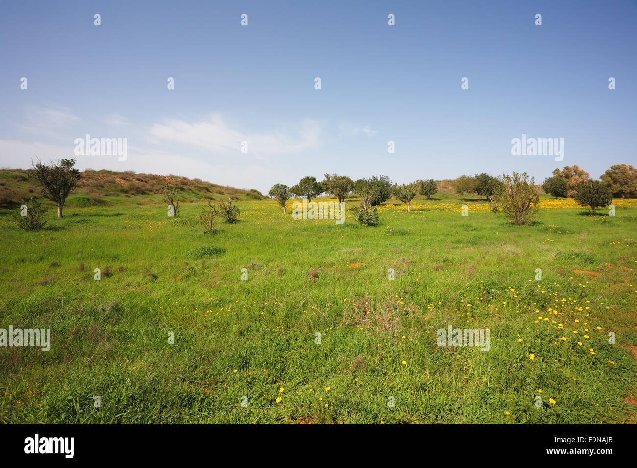 Israel march hi-res stock photography and images - Alamy