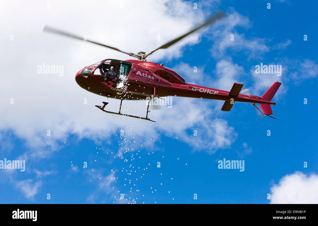 Captain Mike Burns of Atlas Helicopters and colleague Roy Adams drop ...