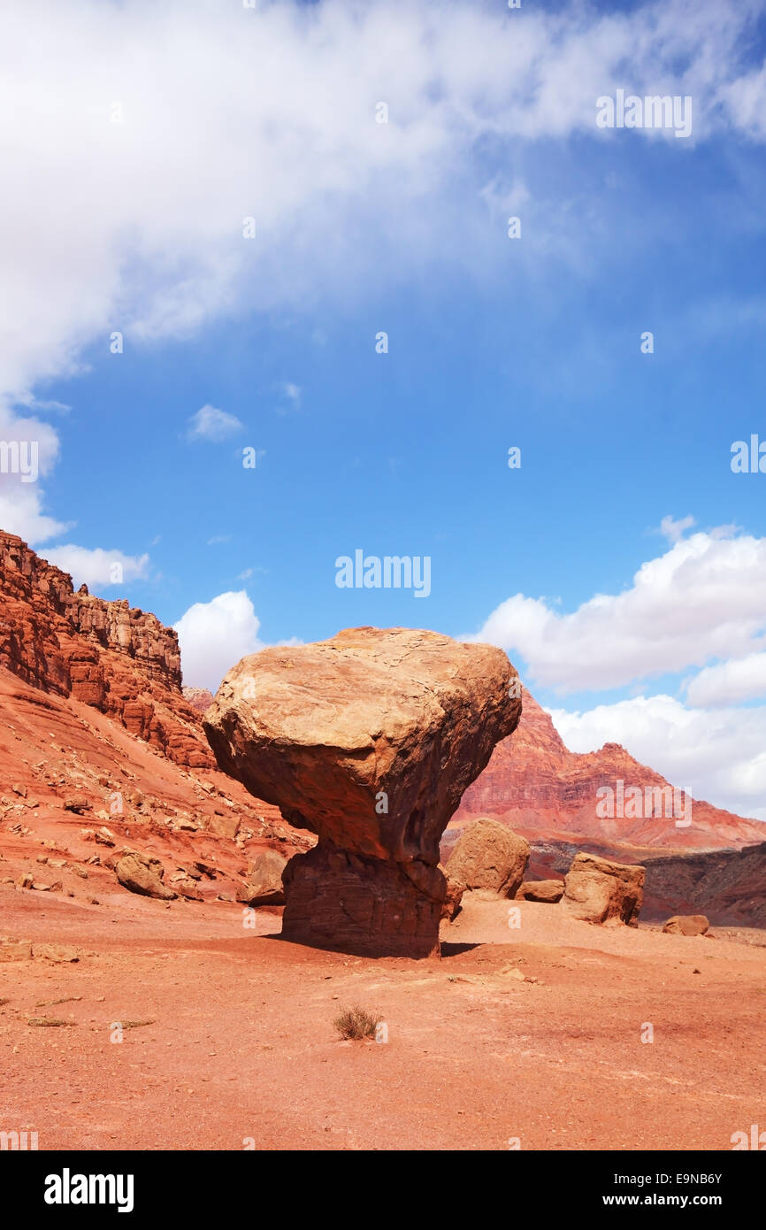 Giant of the desert hi-res stock photography and images - Alamy