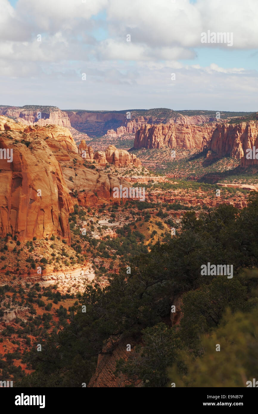 Red sandstone texture hi-res stock photography and images - Alamy