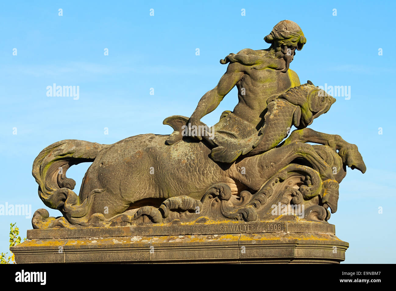 Pegasus fish hi-res stock photography and images - Alamy