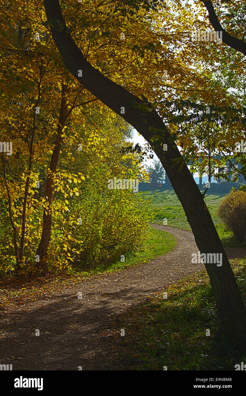 Late fall path Stock Photo - Alamy