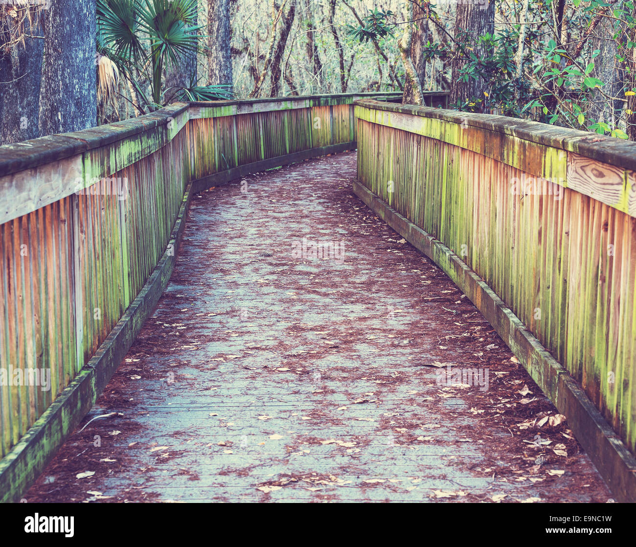 Boardwalk in swamp Stock Photo - Alamy