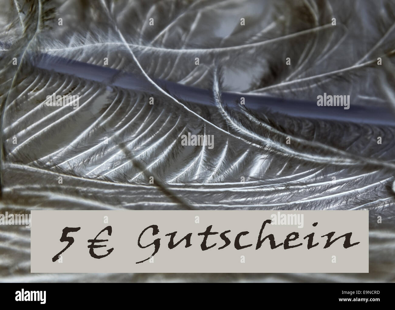 5 Euro Gift Coupon Stock Photo - Alamy