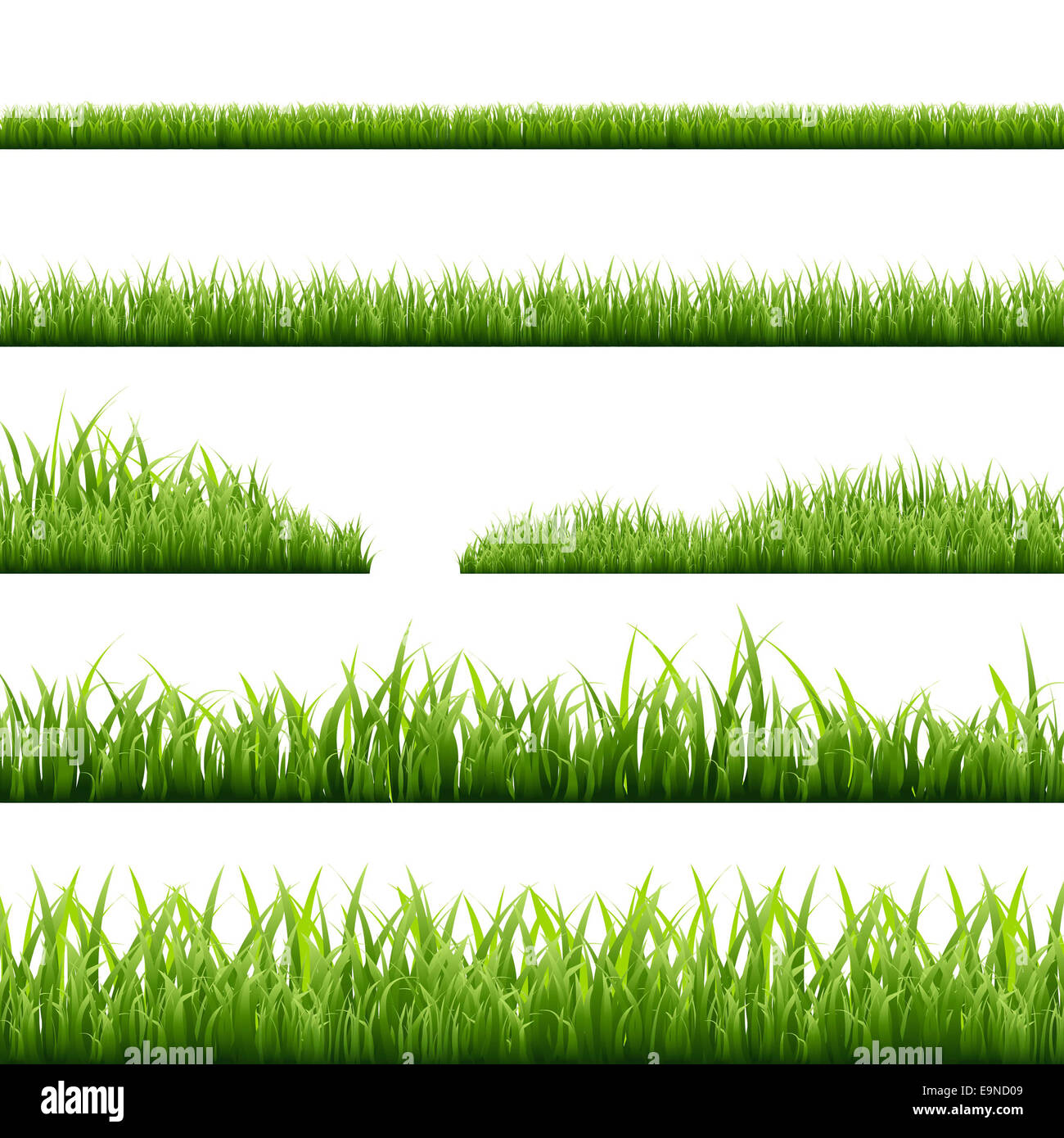 Long grass borders hi-res stock photography and images - Alamy