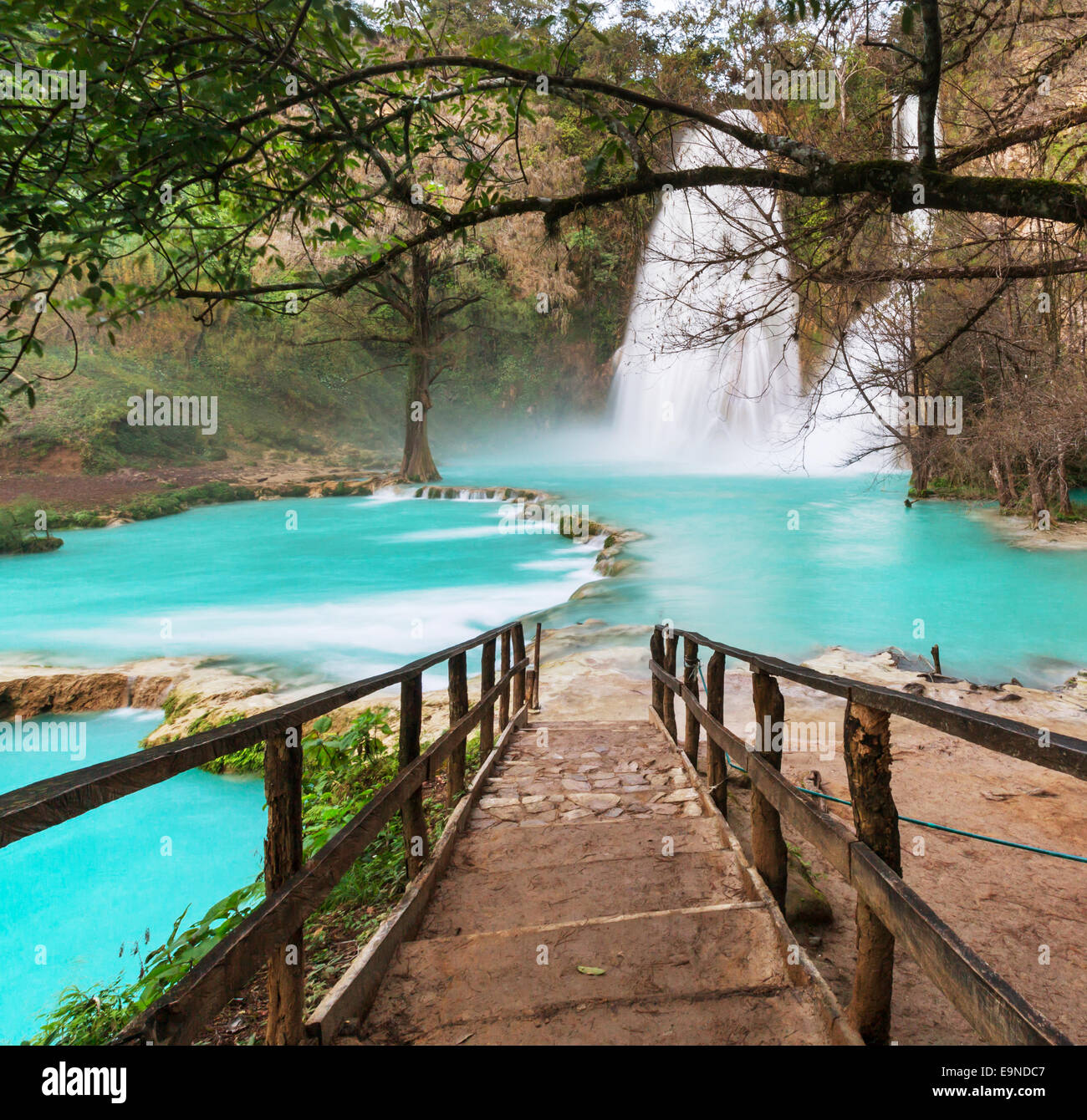 Waterfall in Mexico Stock Photo - Alamy