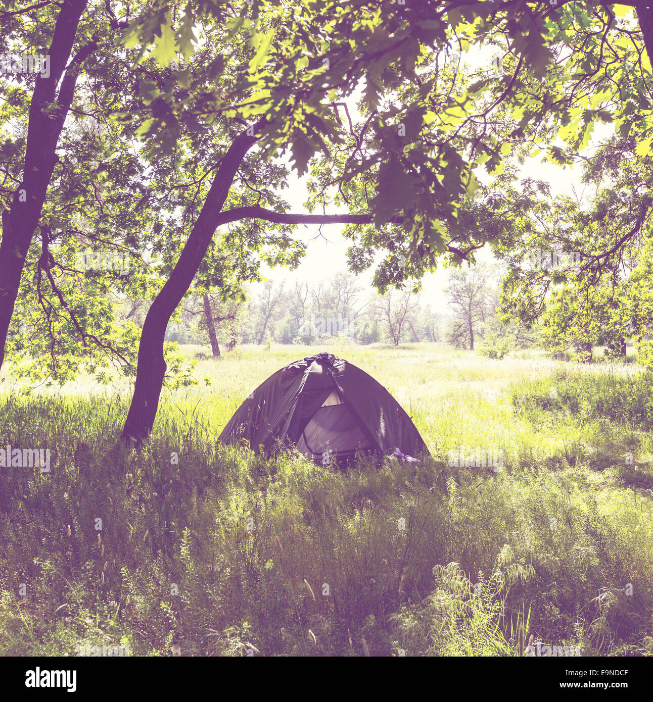 Tent in grassland Stock Photo - Alamy
