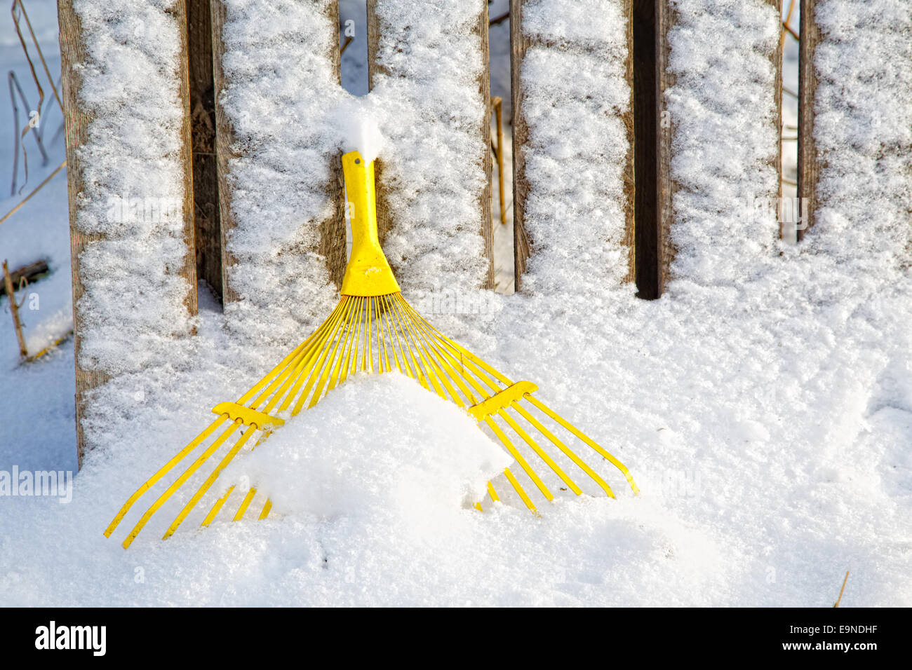 Yellow rake under snow in winter day Stock Photo - Alamy