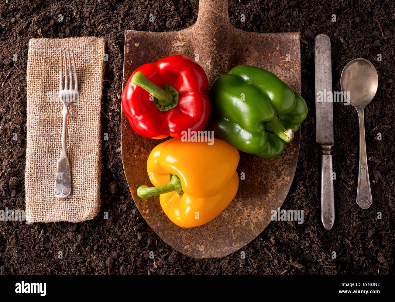 Organic farm to table healthy eating concept on soil background Stock ...