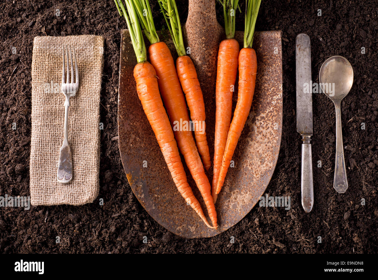 Organic farm to table healthy eating concept on soil background Stock ...