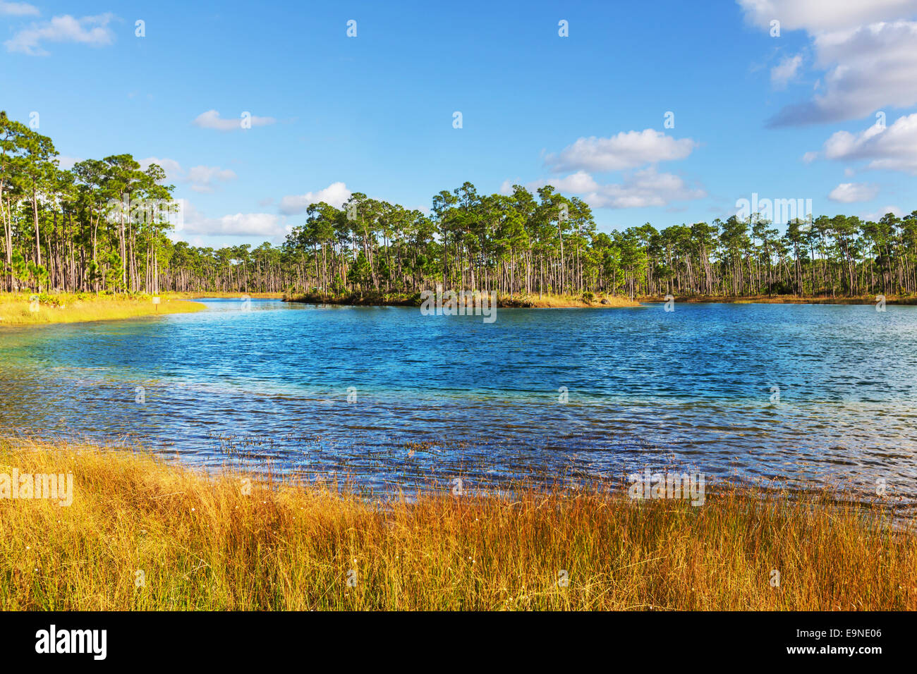 Florida landscapes hi-res stock photography and images - Alamy