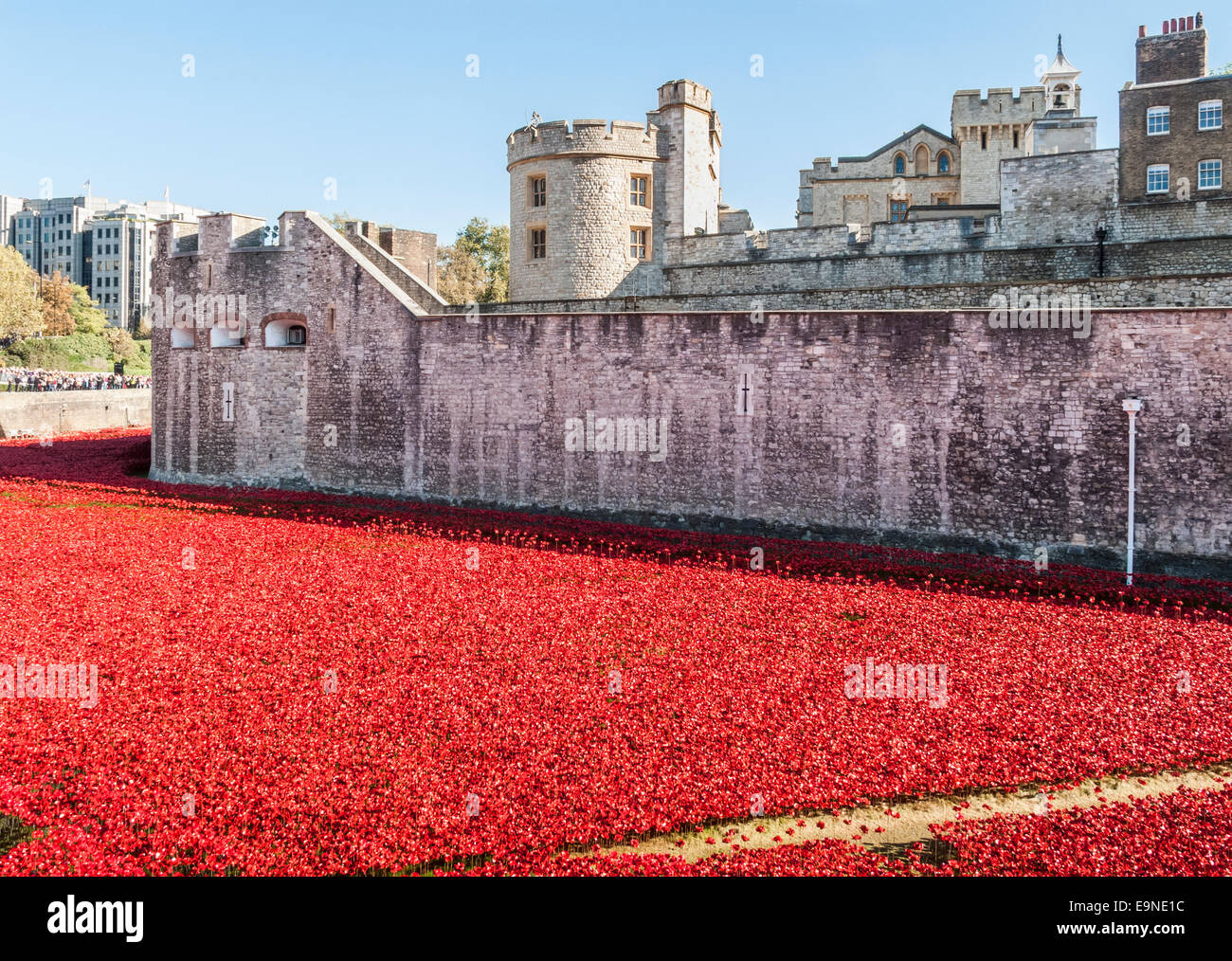 Red ceramic poppies at The Tower Of London Remembers exhibition, Blood ...