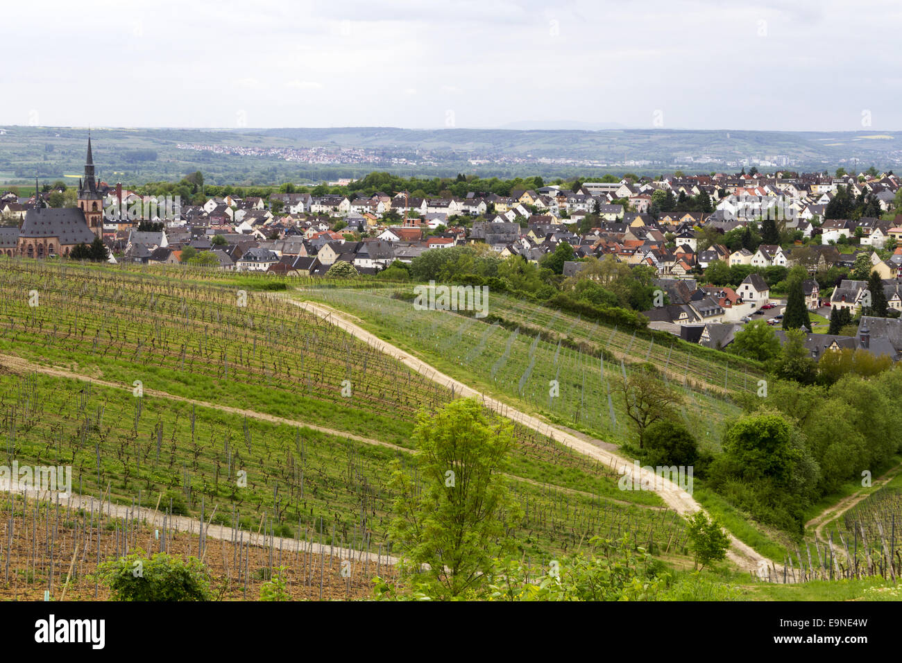 Rheingau taunus kreis hi-res stock photography and images - Alamy