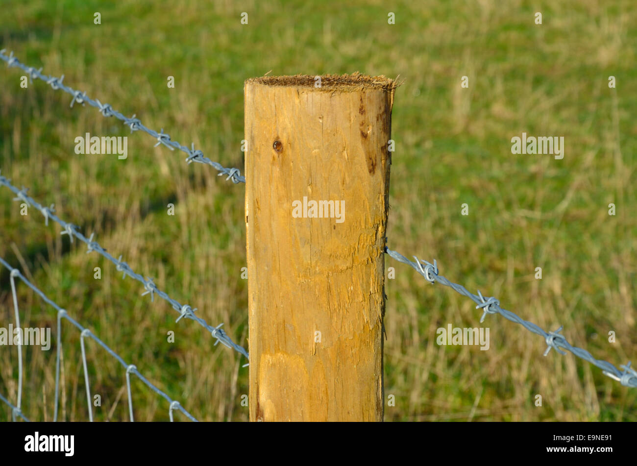 Wire and post fencing hi-res stock photography and images - Alamy