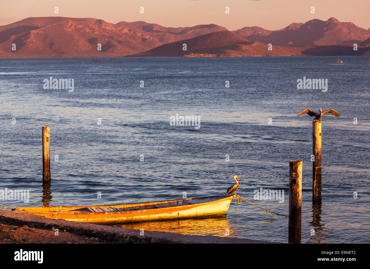 Boat in Mexico Stock Photo - Alamy
