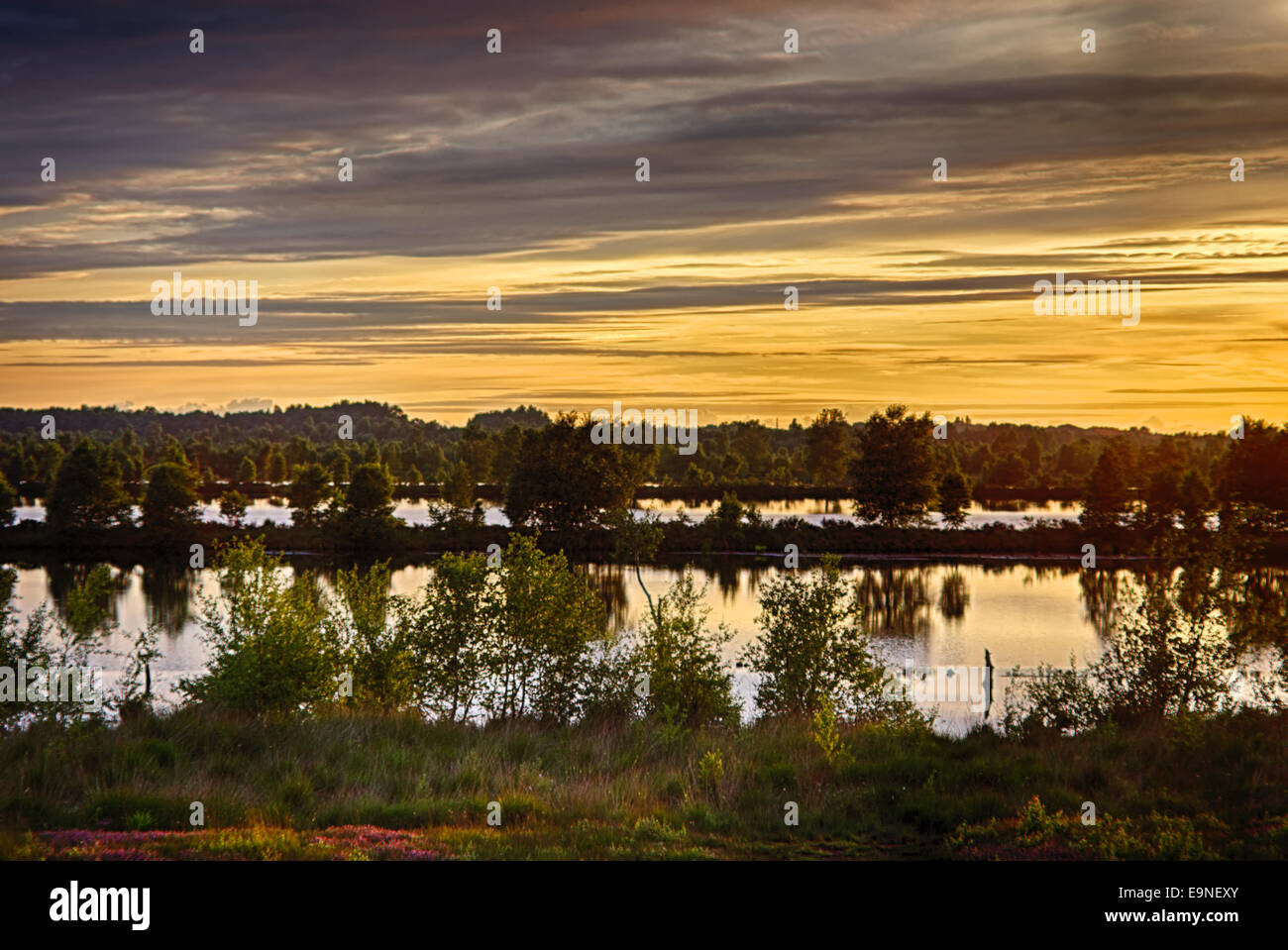 Moor landschaft hi-res stock photography and images - Alamy