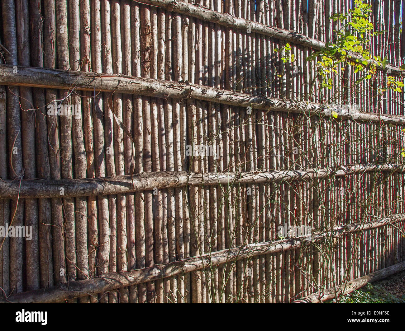 Stakewall hi-res stock photography and images - Alamy
