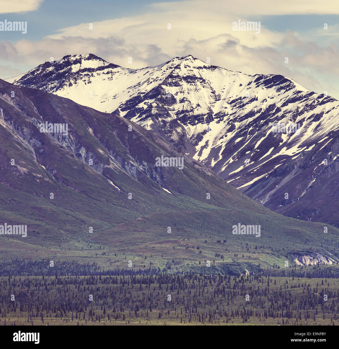 Mountains on Alaska Stock Photo - Alamy