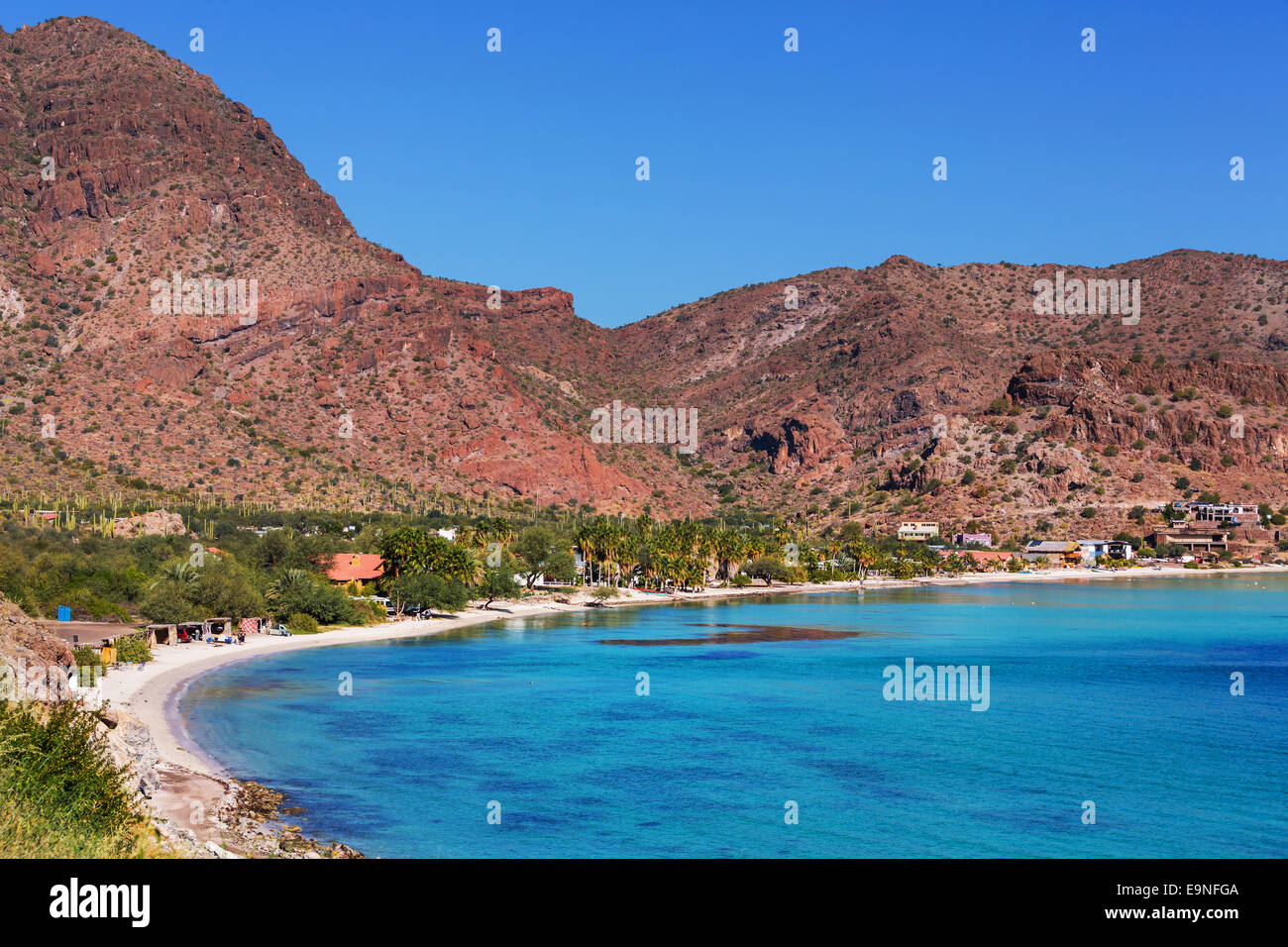 Baja california beach camping hi-res stock photography and images - Alamy