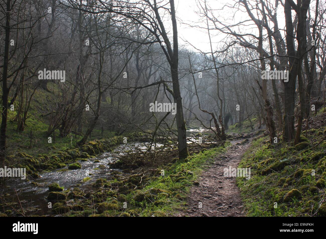 the river running through lathkill dale in the peak district national ...