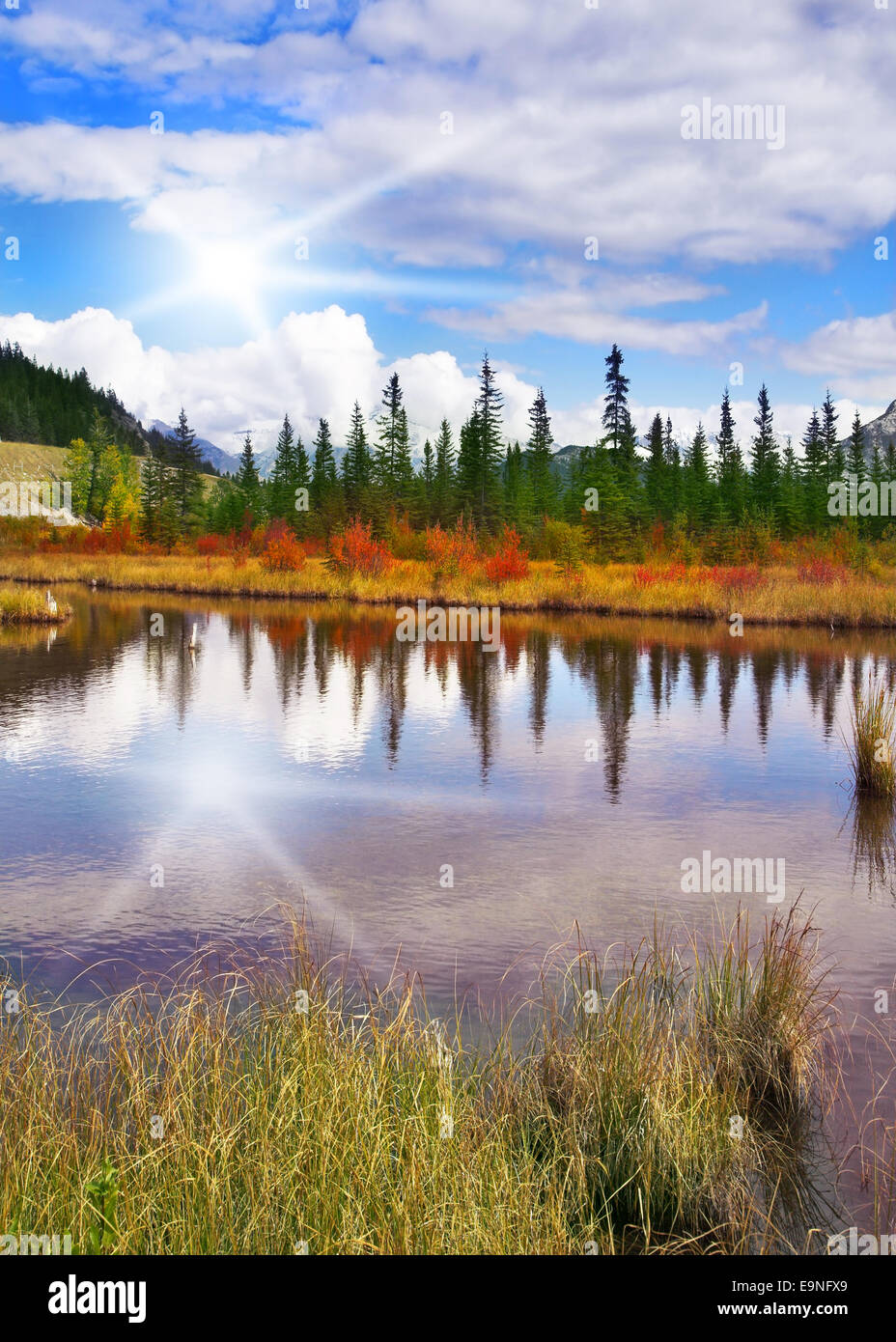 Brilliant small lake Stock Photo - Alamy