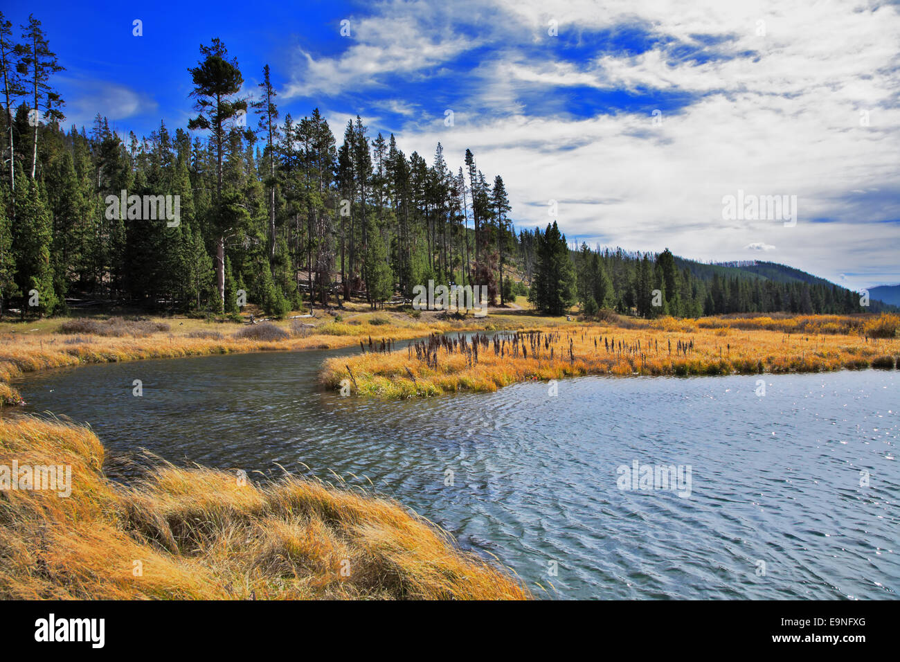 A stream in the USA Stock Photo - Alamy