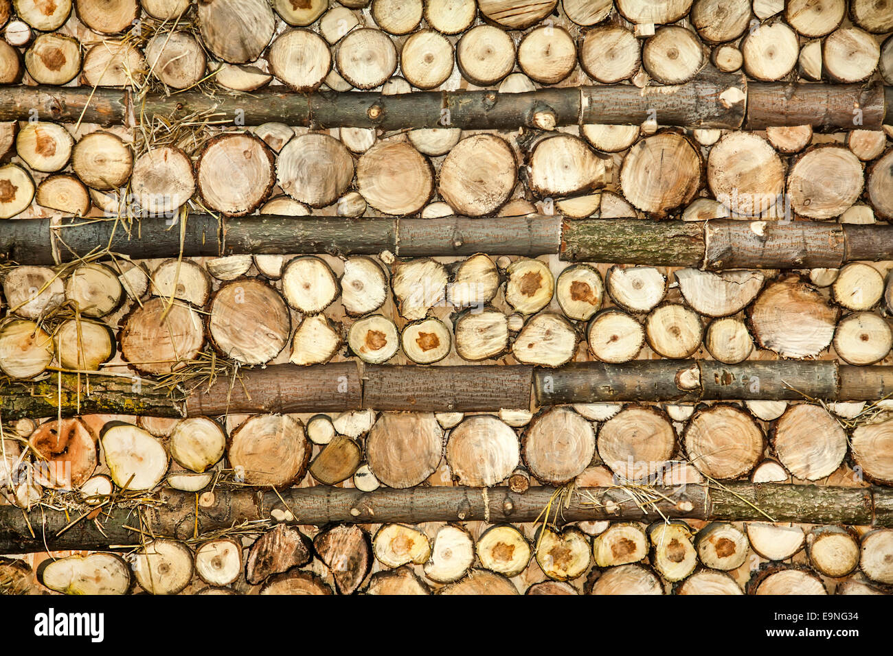 Natural wood log background pattern Stock Photo - Alamy